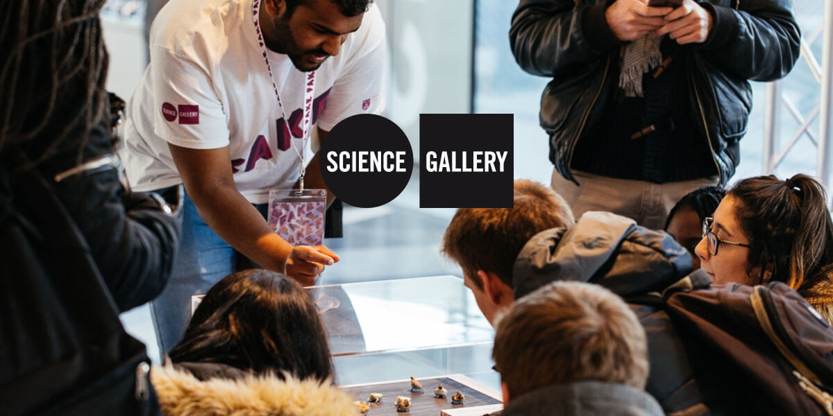 Science Gallery Dublin Summer School Programme - Dublin.ie