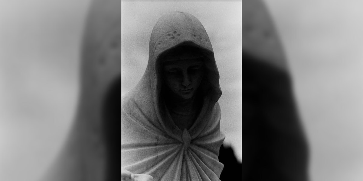 ‘White Blood Cells’ Exhibition - Dublin.ie